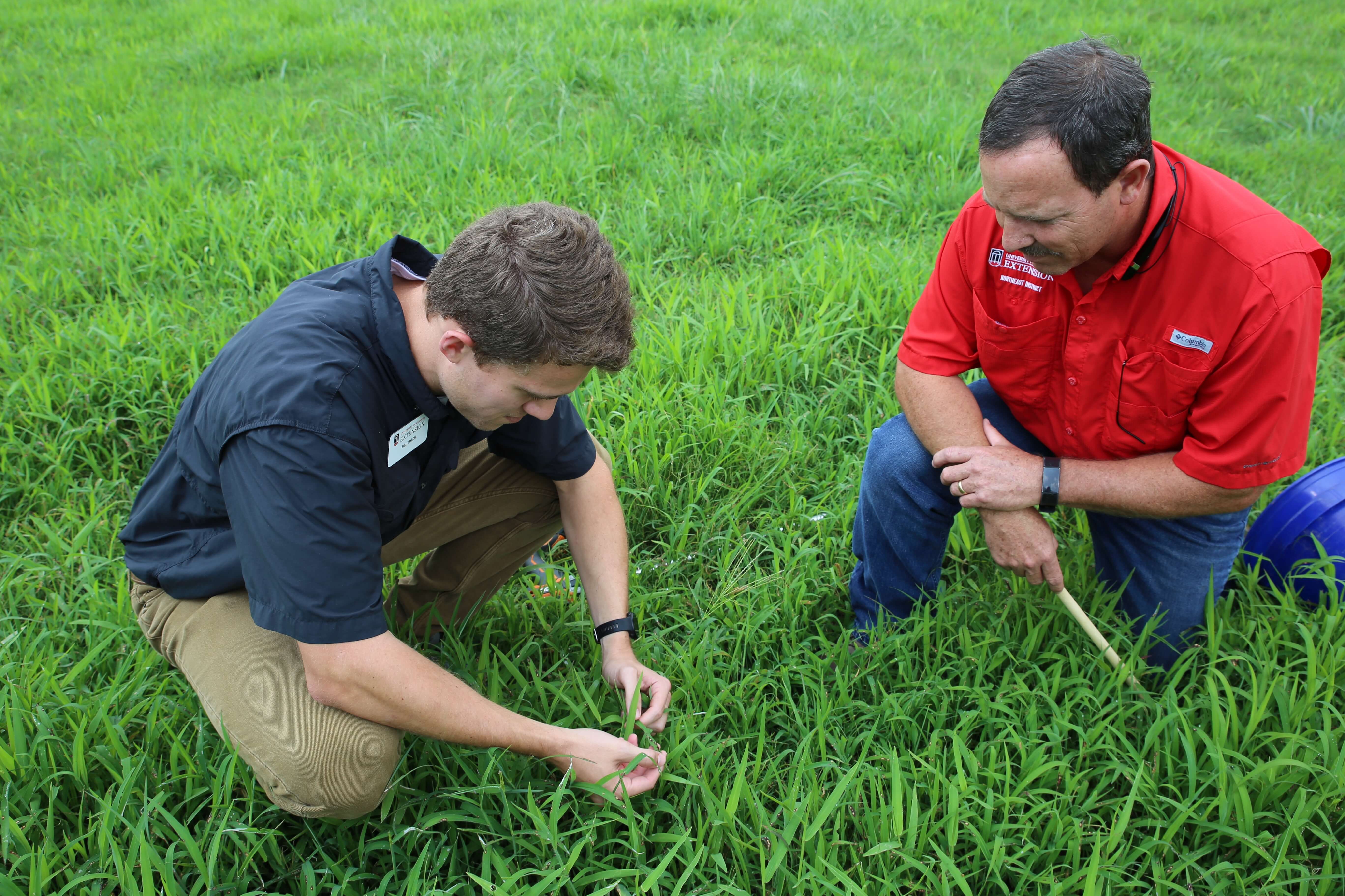UGA Extension Internship - Students | College of Agricultural ...