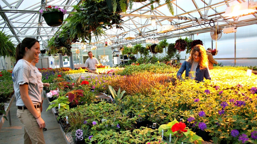 College Station - Research | College of Agricultural & Environmental ...